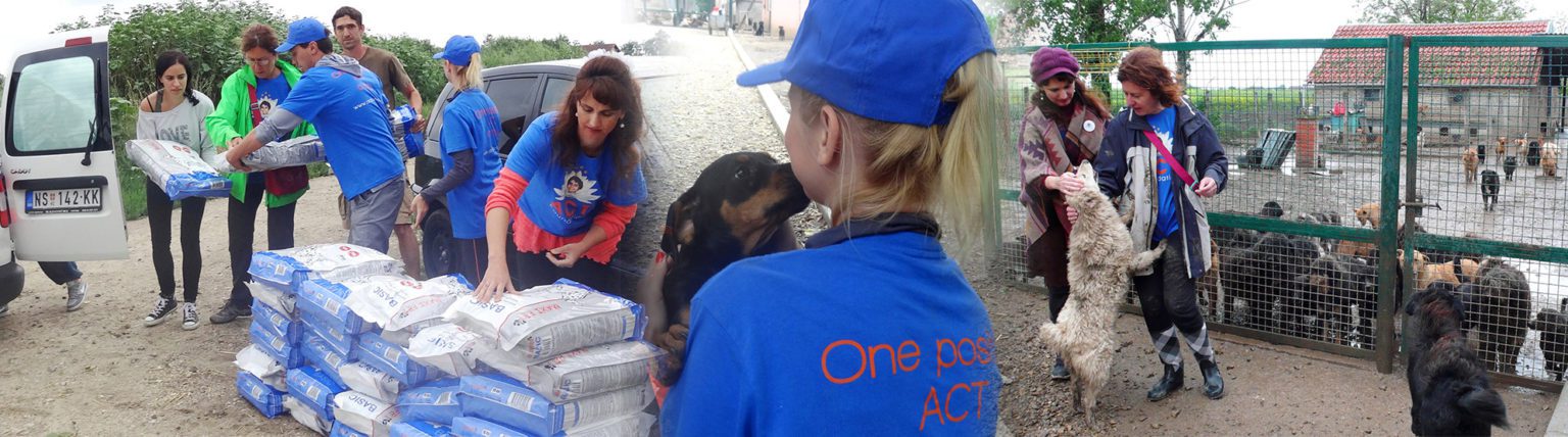 One of the best charities to donate to - ACT Foundation 2024